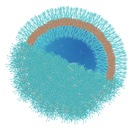 Pioneering the Next Generation of Genetic Nanomedicines
