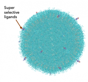 PolyNaut® Technology