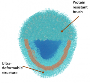 PolyNaut® Technology
